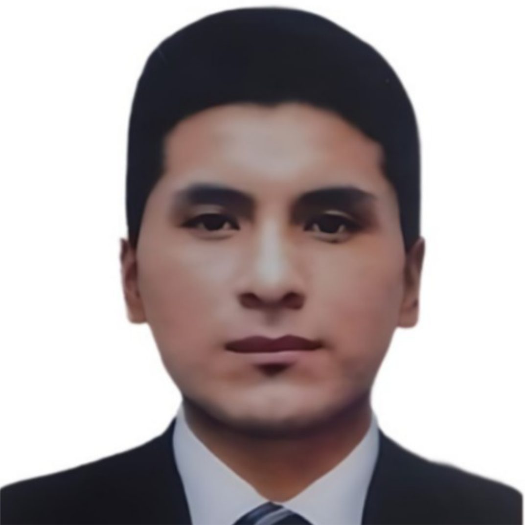 ING. BRAYAN PAÚL ZANGA BALLENA - TQI del Perú